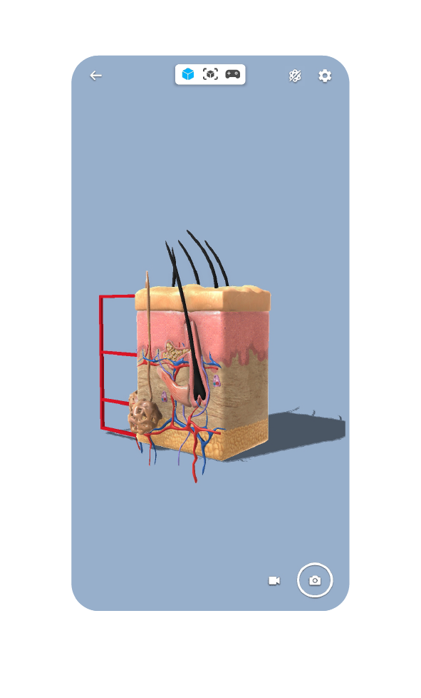 Assemblr - Create Augmented Reality Easily